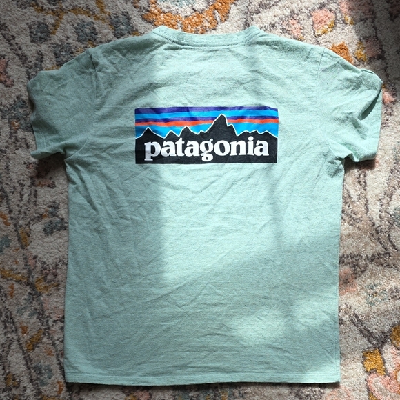 Patagonia | Tops | Patagonia Green Graphic Tshirt | Poshmark